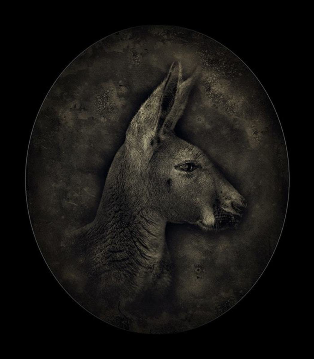 Sinister – GALLERYSMITH