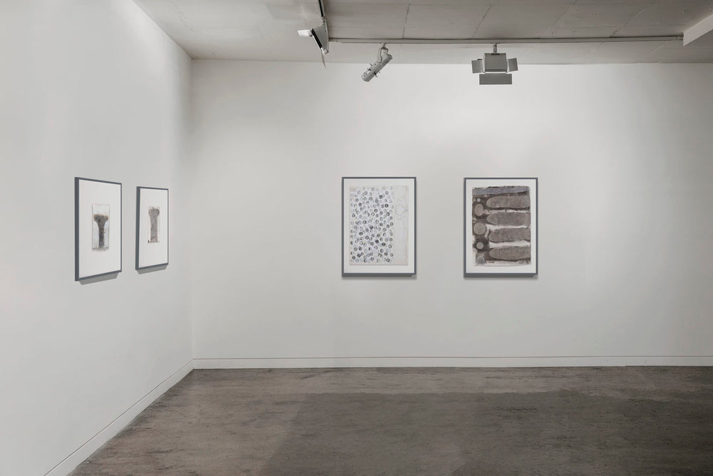 Exhibitions | Ian Friend – GALLERYSMITH