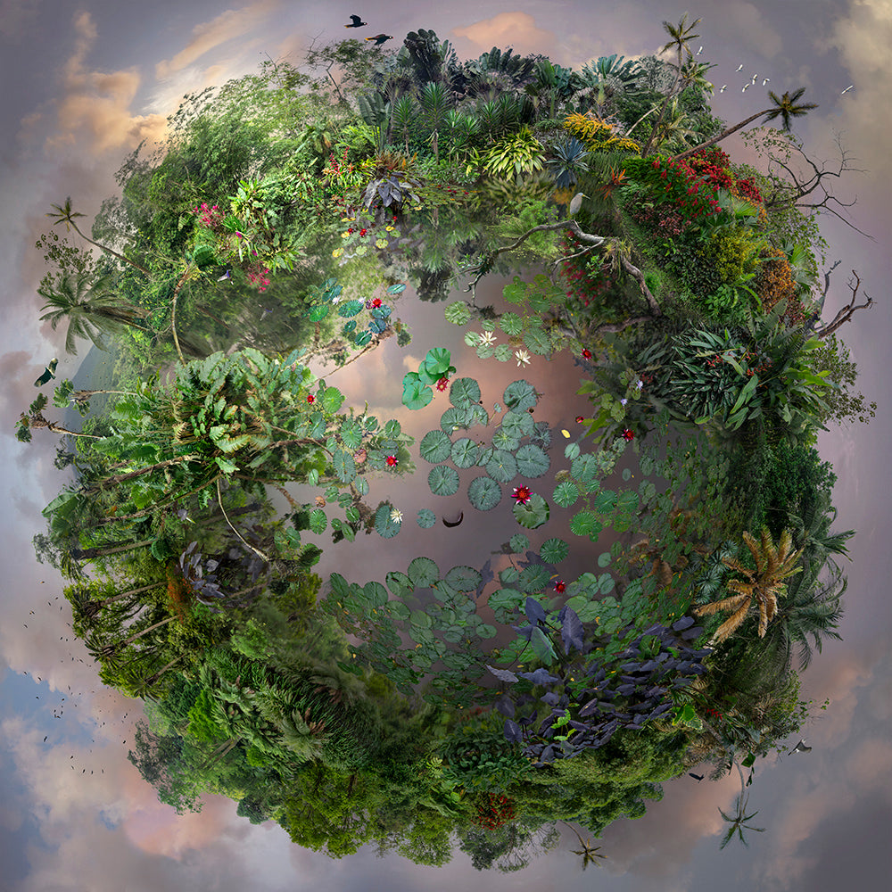 Catherine Nelson – GALLERYSMITH