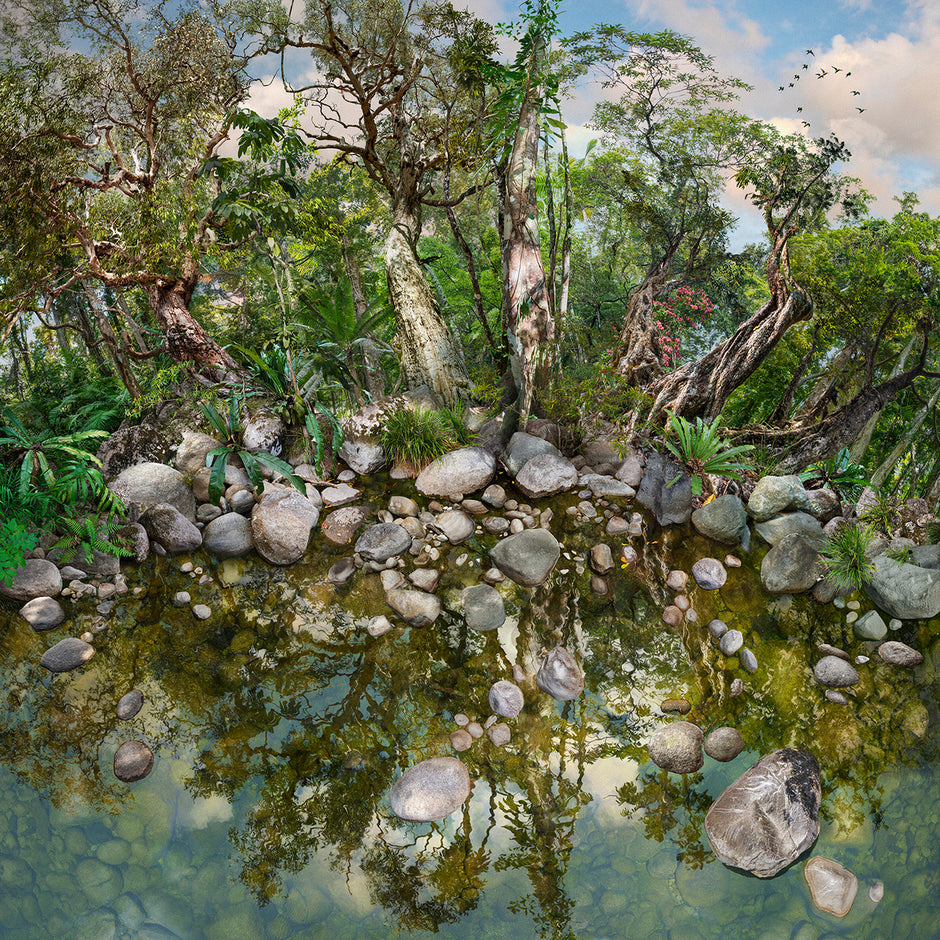 Catherine Nelson – GALLERYSMITH