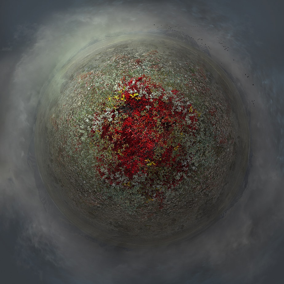 Future Memories 2020 | Catherine Nelson – GALLERYSMITH