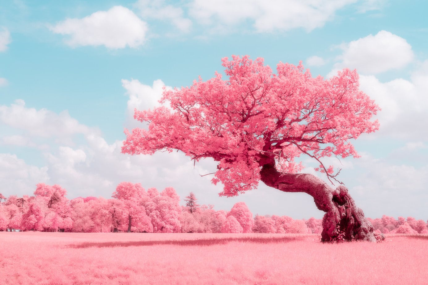 Sydney Contemporary presents 2020... – GALLERYSMITH