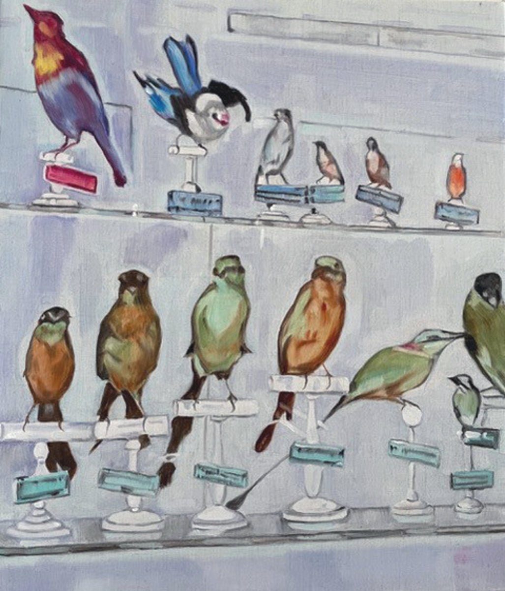 Collecting Birds #4 – GALLERYSMITH